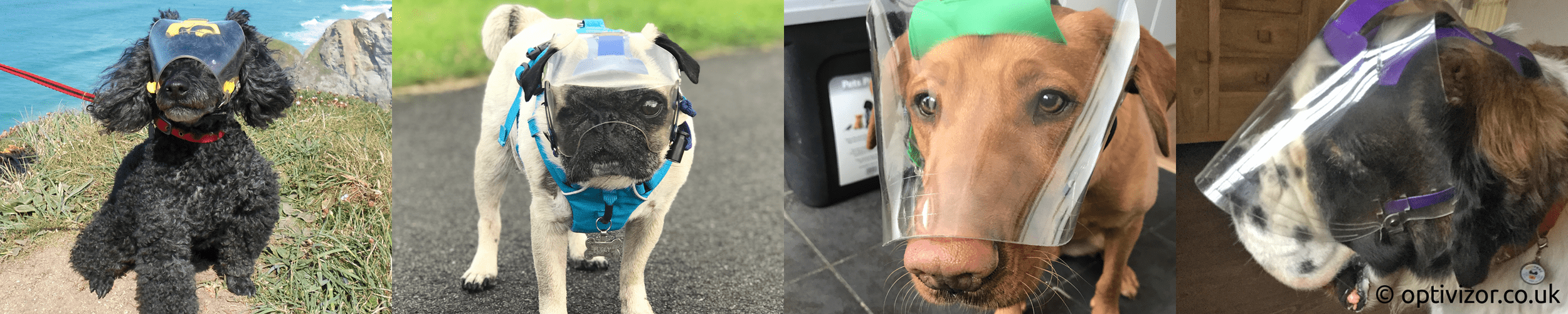 Optivizor - Advanced Eye and Face Protection for Dogs